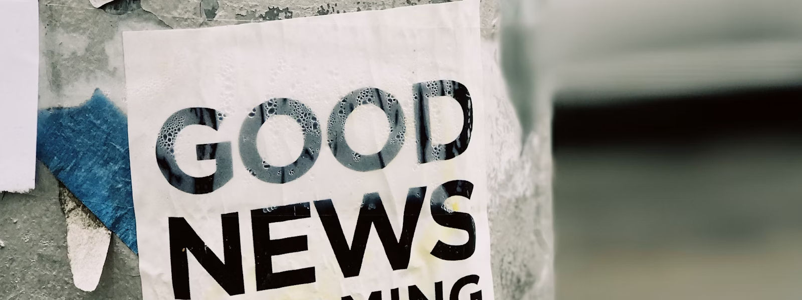 Newsletter Subscription - Driftless Bike Company