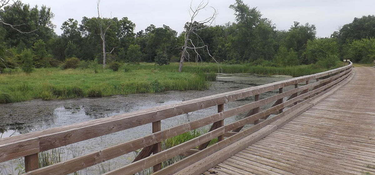 Pine River Trail Wisconsin - Driftless Bike Company